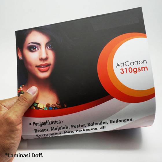 Art Carton 310 gsm A3 Plus 32 x 48 cm | Printmu