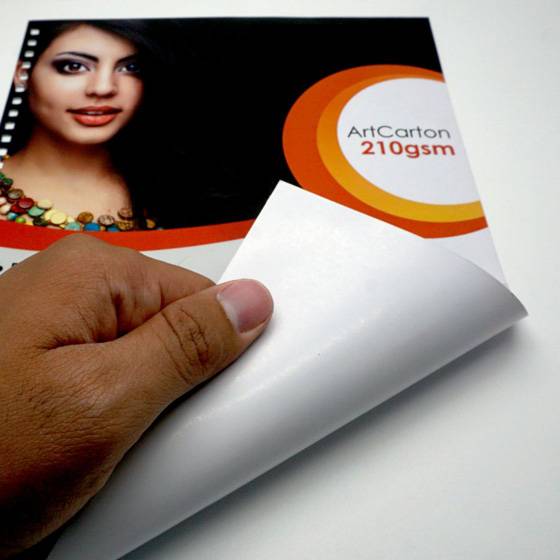 Art Carton 210 gsm A3 Plus 32 x 48 cm | Printmu