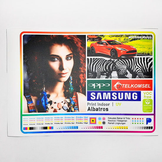 Print UV Albatros | Printmu