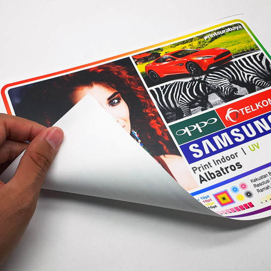 Print UV Albatros | Printmu